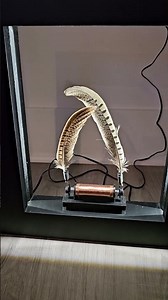 wonder machine in action