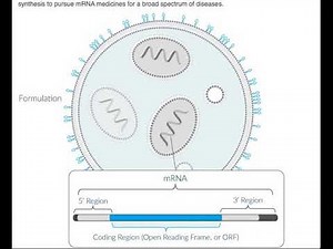 Moderna DOS: Diabolic Operating System