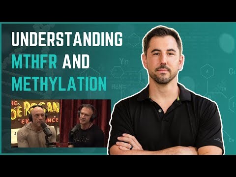 Everything you need to know about MTHFR and Methylation