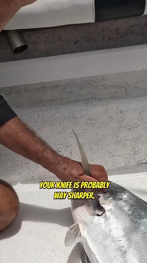 63K views · 10K reactions | How to Fillet a Roosterfish - Part 2...