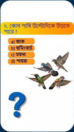 Bangla Question | বাংলা সাধারণ জ্ঞান | #জিকে