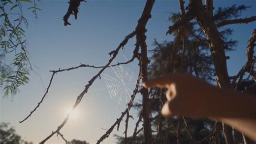 You can just build things. | OpenAI