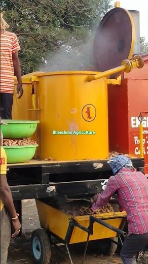 Turmeric Boiling Machine | How to Boil Turmeric | Bheeshma Agriculture