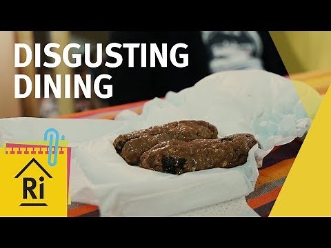 How To Make Fake Poo - At home science - ExpeRimental #26