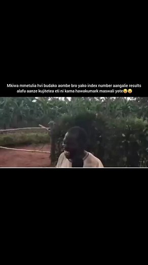 Watu si wajinga meme - Hilarious TikTok Compilation