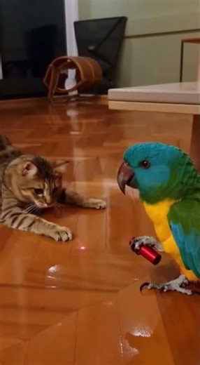 Parrot Secretly Controls Laser Pointer: A Surprising Pet Trick