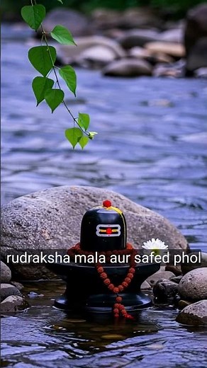 #man ki Shanti chahiye#trendingvideo#shortsvideo#viral#shorts viral