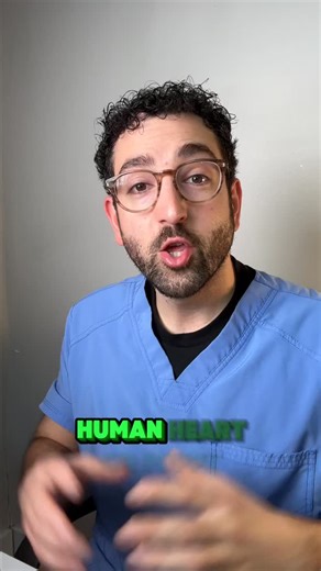 The Echo Journal on Instagram: "Because of this obstruction, pressure builds in the left atrium.⁠ Over time, the LA can dilate, pulmonary venous pressures rise, and patients may develop shortness of breath, fatigue, atrial fibrillation, and even pulmonary hypertension.⁠ ⁠ Understanding the why behind these changes is key to accurate echo interpretation.⁠ ⁠ 👉 Join our Echo Newsletter for clear, practical echo education delivered straight to your inbox...comment "learn" to get started for free"