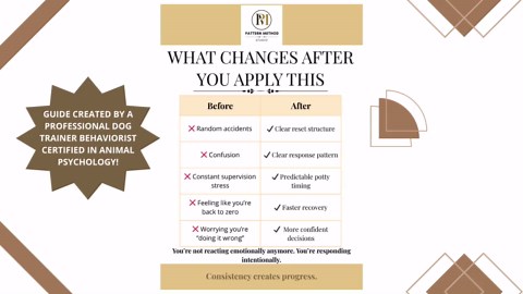 Puppy Potty Training Regression – Accidents After Weeks of Success? What to Do Now – Step-by-step Reset Plan – Digital Download - Etsy UK