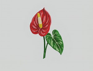 Machine Embroidery Design, Anthurium Flower Madeira, Flamingo Flower, 5.315” × 3.589” 17,150 Stitches, Digital File: Pes Dst Exp Jef VP3 Hus - Etsy
