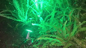 9W LED Underwater Lights Low Voltage 12V AC/DC, Architectual Grade Light Fixture Stainless Steel with Green Lighting, Suitable for Pond, Fountain Landscape Lighting Projects