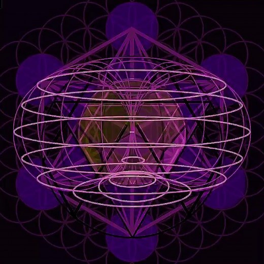 The Torus 369 #shorts