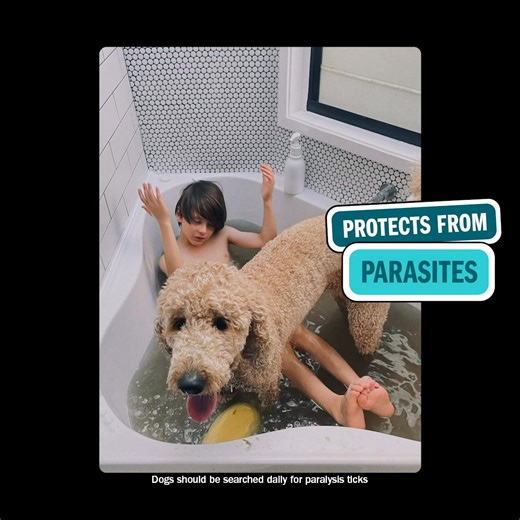 8.8K views | Simparica TRIO can protect what matters most from fleas, ticks, heartworm and more. Members save up to $75 at Petbarn. Savings based on non-member price & may differ online, in App & in-store. Stock varies by store. | Petbarn | Facebook