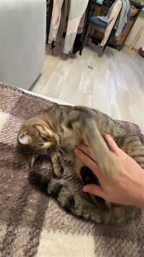 My car made me angrey!