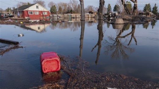 E. coli detected in Harney County floodwaters