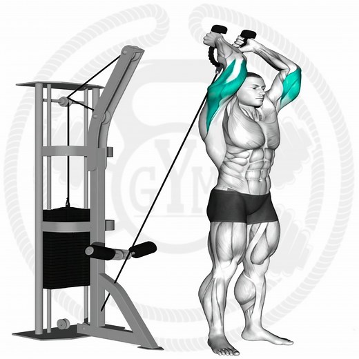 19K views · 387 reactions | #fitnessjourney #love #insta #seguidores #fitnessroutines #challenge #destacar #fitnessmodel #workout #training #backworkout | Fitness routines | Facebook