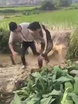 Slipping in mud, falling one by one.