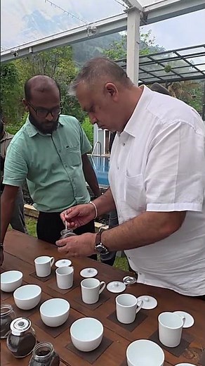 How to prepare a tea #ceylontea #tea #srilanka #cupoftea #teaindustry #teapreparation #teadrinking