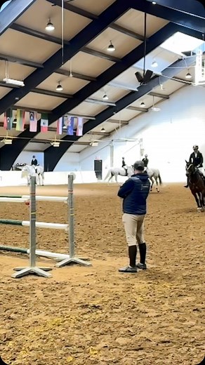 Horse | Animal | Equestrian on Instagram: "Follow for more"