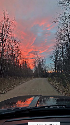 53 reactions · 3 comments | Matthew Lemke on Reels | Facebook