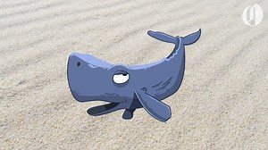 9.5K views · 302 reactions | Happy Exploding Whale Day to all who celebrate! We didn't have our own footage, so we made this recreation a few years back. We've since got permission for the original footage which you can see by clicking here: https://www.oregonlive.com/entertainment/2020/11/oregons-exploding-whale-50-years-later-10-ways-to-celebrate-the-big-blast-of-blubber.html?utm_campaign=theoregonian_sf&utm_medium=social&utm_source=facebook | The Oregonian | Facebook