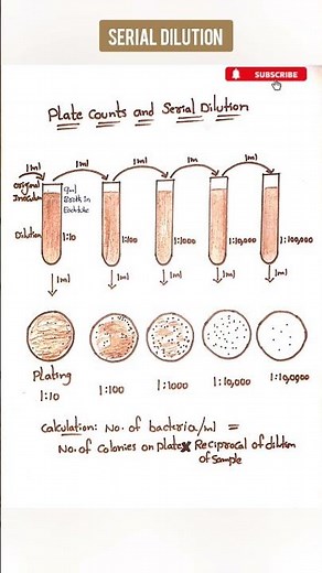 Serial Dilution for Microbial Growth || Microbiology || Medi Queries