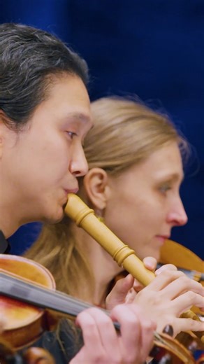 We dare you not to sway along 😉🎵😍 #music #baroque #telemann #violin #orchestra