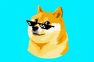 Coinbase to Add Dogecoin in the Next 6-8 Weeks