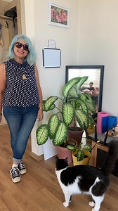 159K views · 10K reactions | Non-continuous Verbs: verbs that cannot...