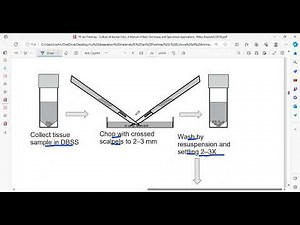 Cold Trypsin method (Enzymatic method for tissue disaggregation)