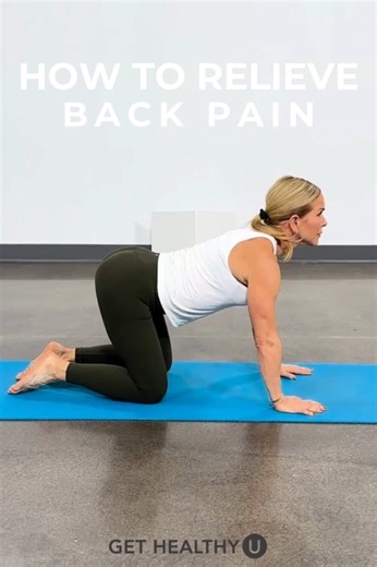 You don't need to live with back pain. These 5, simple exercises can all be done from home and can help to naturally relieve back pain as you consistently perform these exercises. 5 Exercises: 1. Cat Cow 2. Childs Pose 3. Glute Bridges 4. Bird Dog 5. Mid Back Extension there's more exercises you can do too! Read more about the workout protocol and how to naturally relieve your back pain > https://gethealthyu.com/back-strengthening-exercises-for-seniors/ | Chris Freytag Get Healthy U