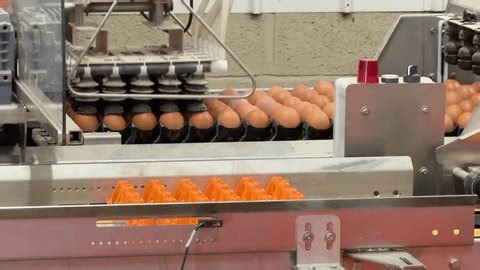 clip-4004505351-close-static-shot-robotic-packing-machine-transferring