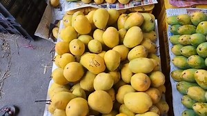 May 30, 2025 दिल्ली आम के होलसेल भाव Delhi Mandi Mango 🥭 market price delhi fruit market #mango | Delhi Fruit Market
