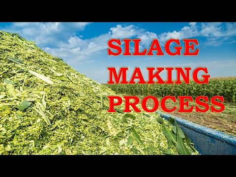 Detailed Silage making process #silagemaking
