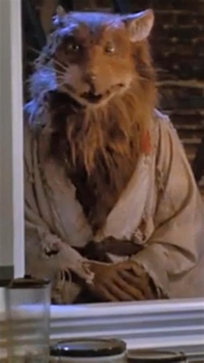 What Did Splinter Say?