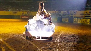 Friday night in Nampa, ID. Ernie stole the show as usual, totally out of control! Bit Poncho, bit Ponchos tail, bit my wooly chaps! #saynotoborderjacks | Bobby Kerr