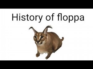 History of floppa