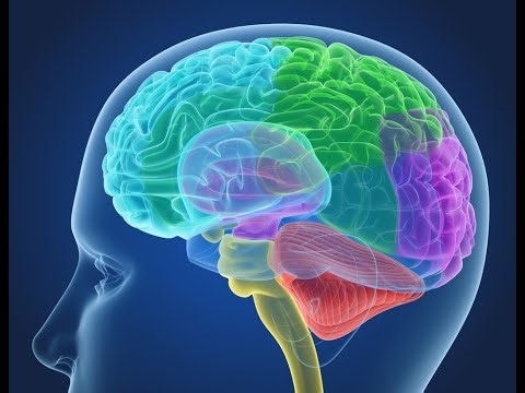 Graphology. The science of handwriting analysis.. Topic 1-Pressure