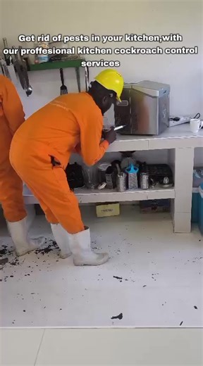 cockroach control services using tatua cockroach bait #cockroachcontrol #fyp #pestcontrol #tiktokkenya🇰🇪