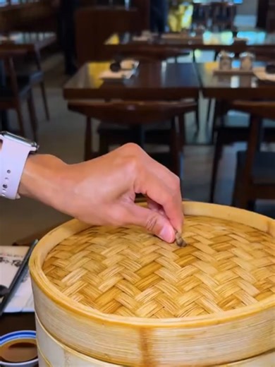 Delicious Dumplings at DD Hibachi & Soup Dumpling