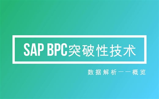 SAP BPC突破性技术——数据解析-概论
