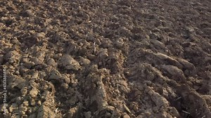 Arial drone view of freshly plowed field field ready for new planting and seeding season. Arable land, close up.