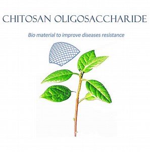 Chitosan Oligosaccharide for Plants | Dora Agri