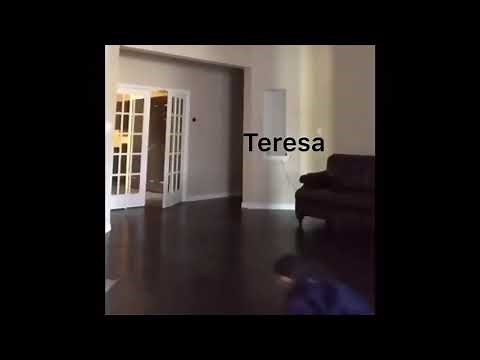 The Maze Runner trilogy as vines