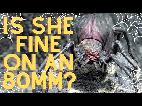 Ep.9 DEEP DIVE: Cirith Ungol w. Andrew.B