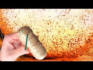 Firecrackers experiment epic effect