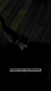 Our first sky lantern! 🤩🇺🇸😆Beautiful 🌎 #weisslake #skylantern #northalabama #leesburg #marina #LaborDay2024 | Weiss Lake Campground and Marina LLC