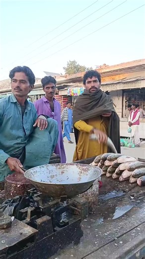 Exploring the World of Emojis and Their Expressions