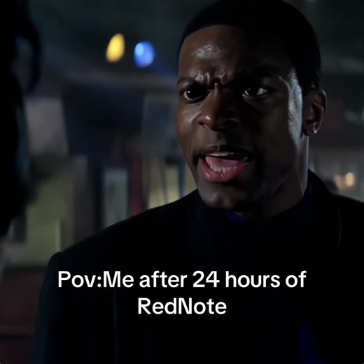 RedNote Reactions: A 24-Hour POV Experience