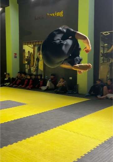 Karate Skills Showcase: New Techniques and Moves